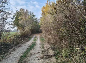 Prodaja Ostale nekretnine - Beograd, Obrenovac: Draževac - Konatice - Belo Polje
