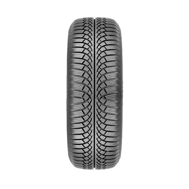 Diplomat Zimska guma 185/65 R15, ST, 88T