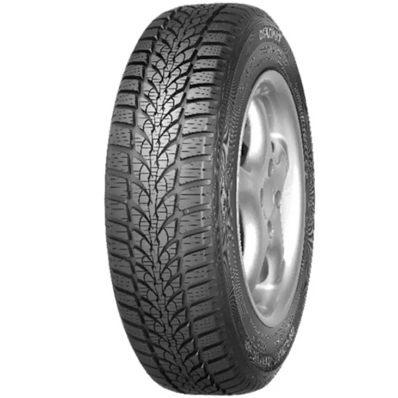 Diplomat Zimska guma 205/60 R16, 96H, XL, HP