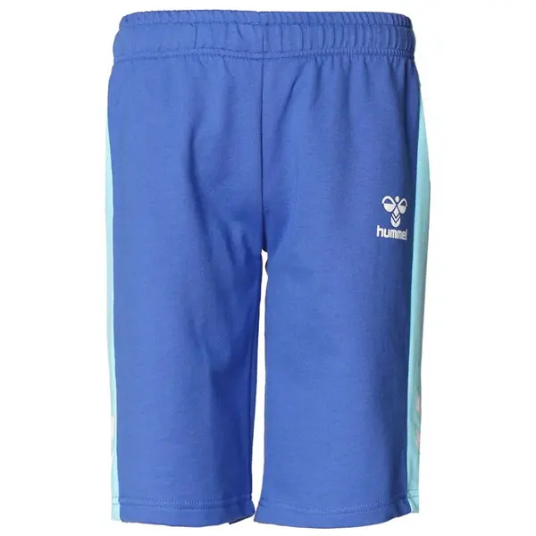 HUMMEL Shorts HMLEDU