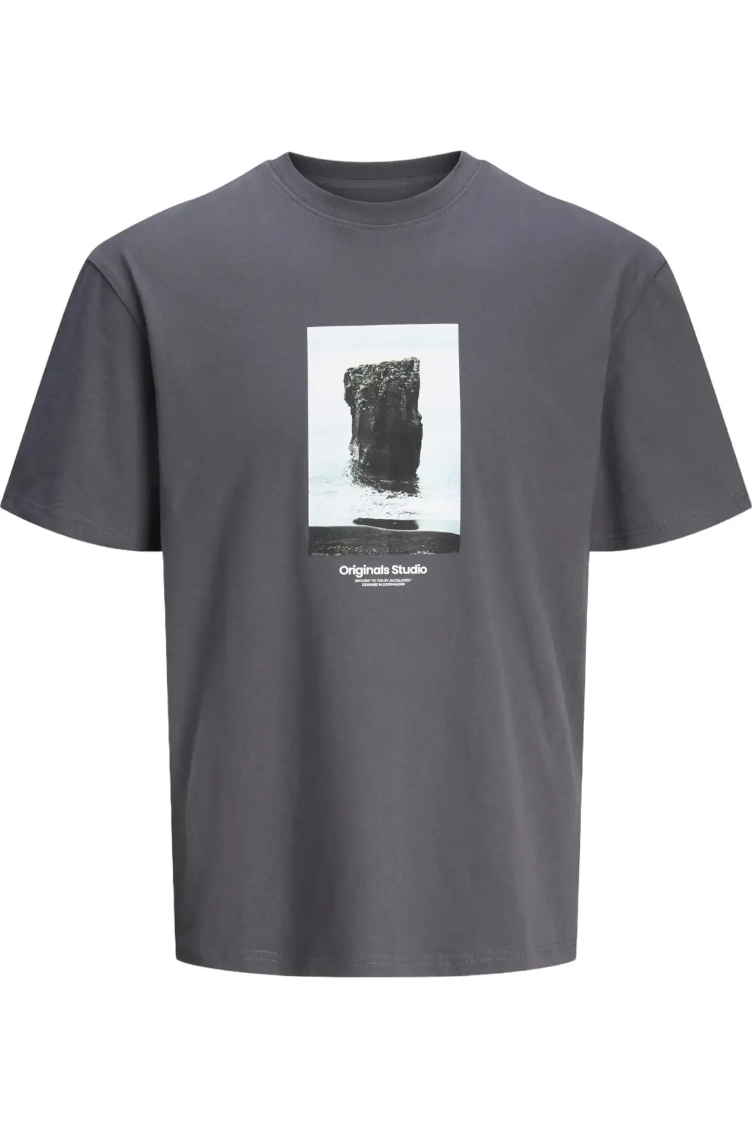JACK & JONES Muška majica 12250421, Siva