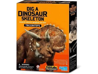 4M Iskopaj skelet dinosaurusa Triceratopsa 03228