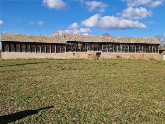 Stara Pazova, Belegiš, Zemljište, 5900,00m2