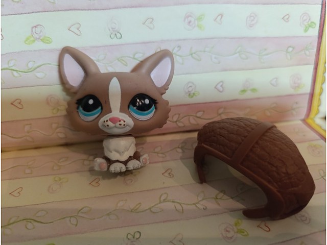 Littlest pet shop LPS