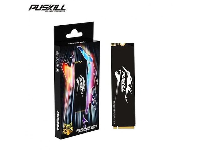 Puskill SSD HD SATA  PCIE 3.0*4 1TB