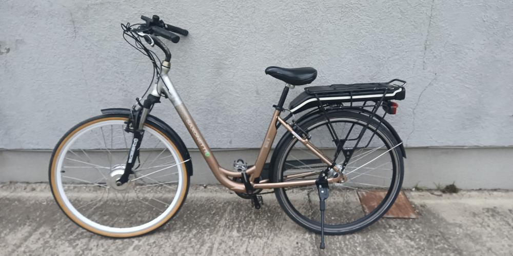 Saxonette e-bike