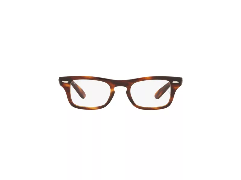 Ray-Ban Burbank Jr Naočare RY 9083V 3888