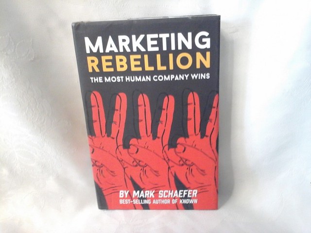 Marketing rebellion Mark Schaefer the most human