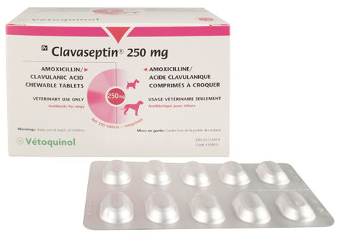 VETOQUINOL Clavaseptin 250mg (amoksicilin, klavulanska kiselina) 10 tbl