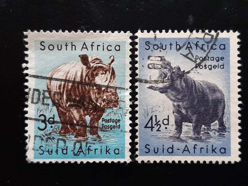 SOUTH AFRICA 1954