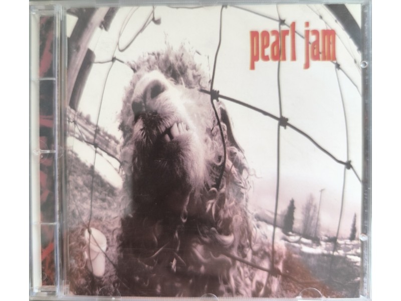 Pearl Jam VS.