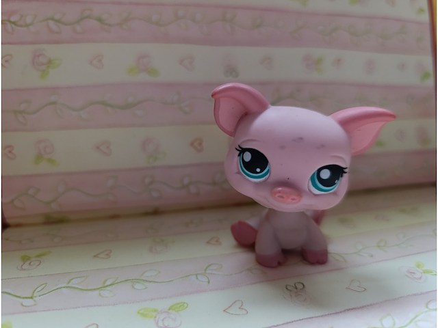 Littlest pet shop LPS