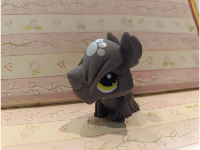 Littlest pet shop LPS