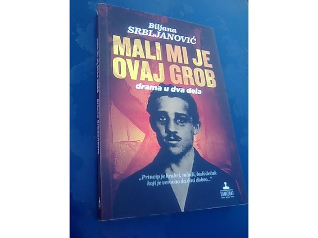 MALI MI JE OVAJ GROB - Biljana Srbljanović