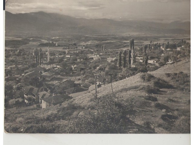 Tetovo iz 1955