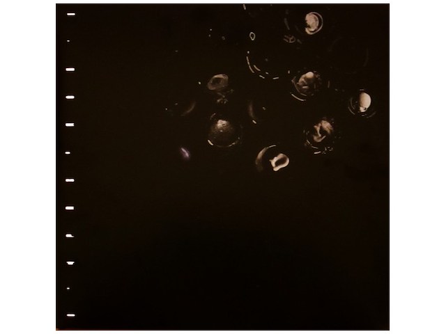Crumb – Ice Melt  Red Vinyl