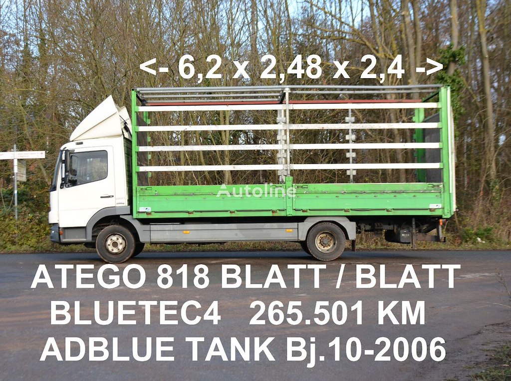 Mercedes-Benz ATEGO 818 BLUETEC4 265.501Km BLATT/BLATT kamion s ravnom platformom