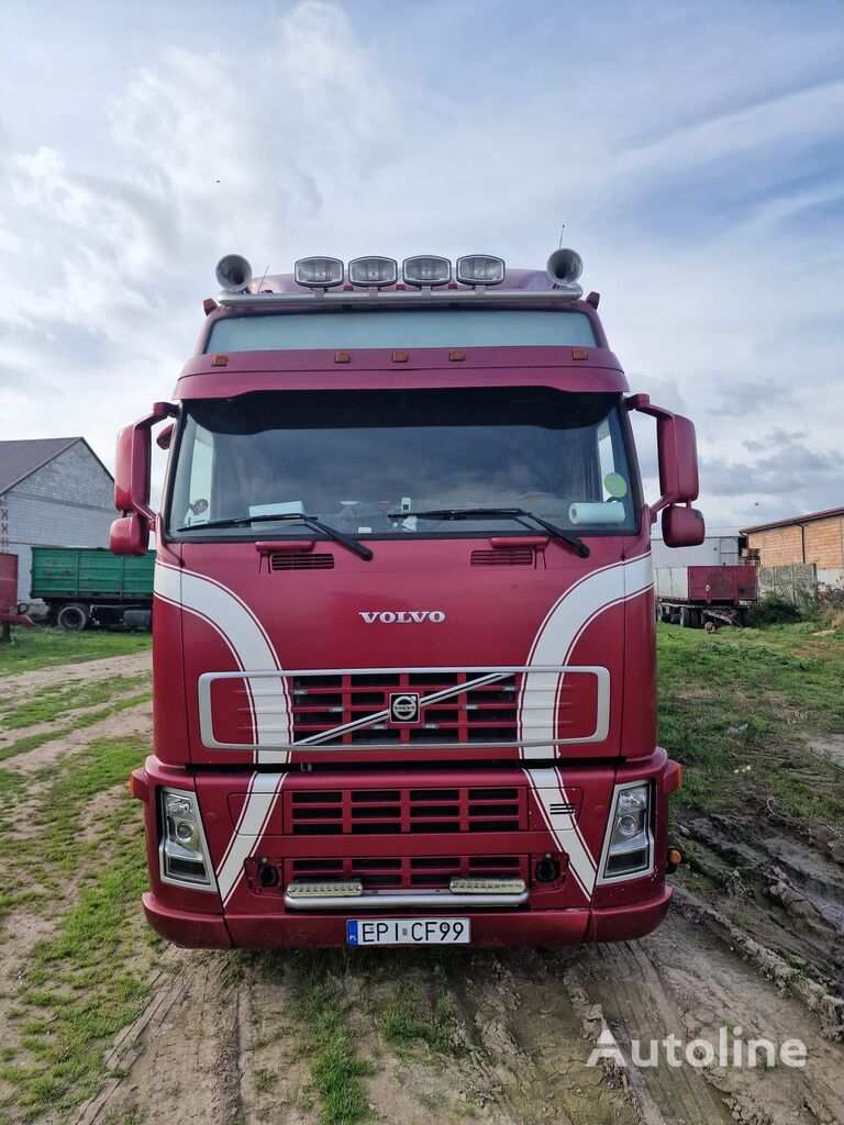 Volvo FH 480 kamion za prevoz stoke