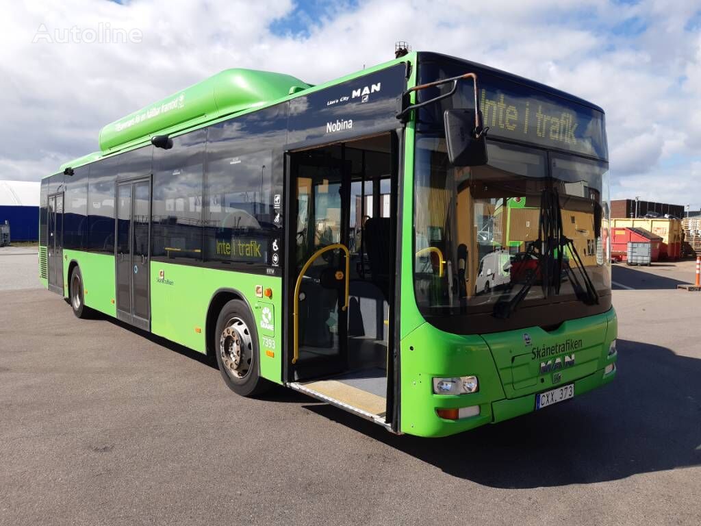 MAN A21 CNG ( 7393) - 1 bus gradski autobus