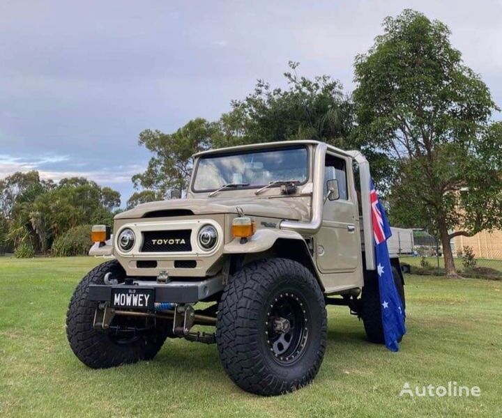 Toyota LANDCRUISER 45 4.2TD CLASSIC terenac