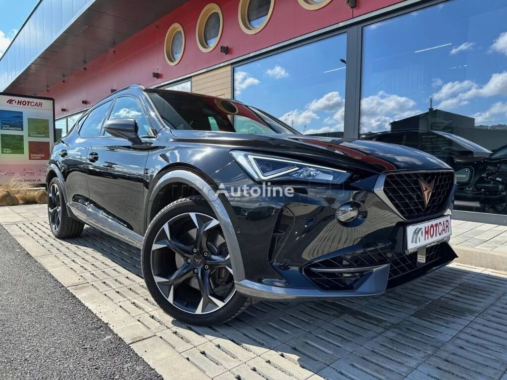 Cupra Formentor 2.0 TSI 228kW DSG 4x4 krosover