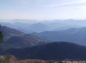 Prodaja Ostale nekretnine - Okolno mesto, Mokra gora