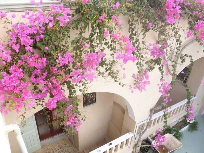 APARTMANI LEFTERIS - Kamari / Santorini