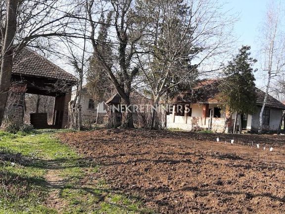 Prodajem domaćinstvo sa poljoprivrednim zemljištem u Žabarima kod Topole