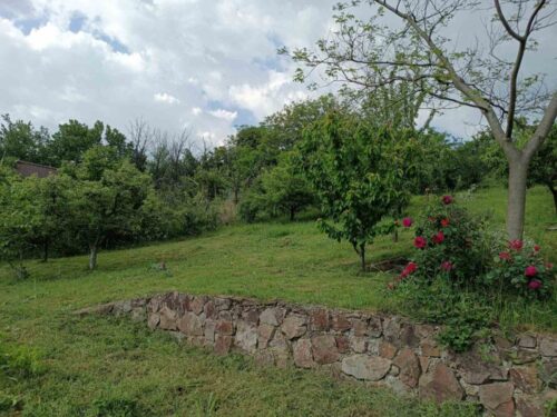 Plac u Ledincima, prodaja