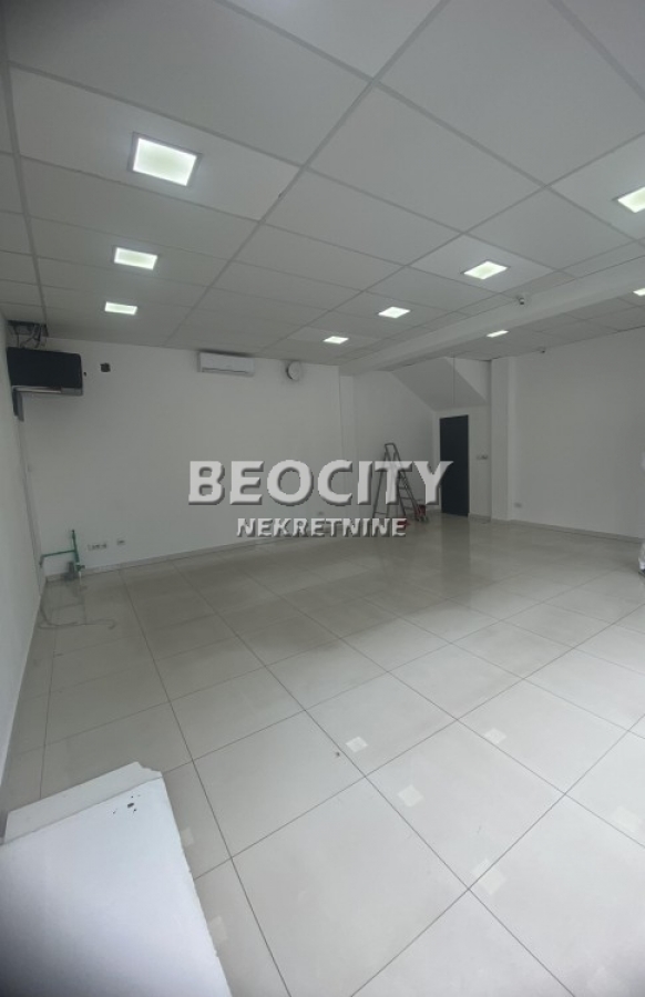 Zemun, Altina, Pavla Vujisića , 1. 0, 50m2, 700EUR