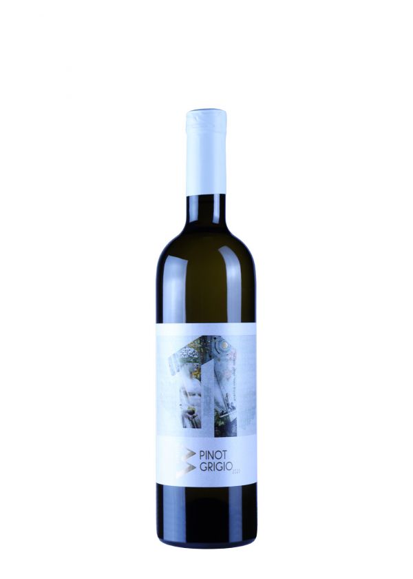 Virtus Pinot Grigio