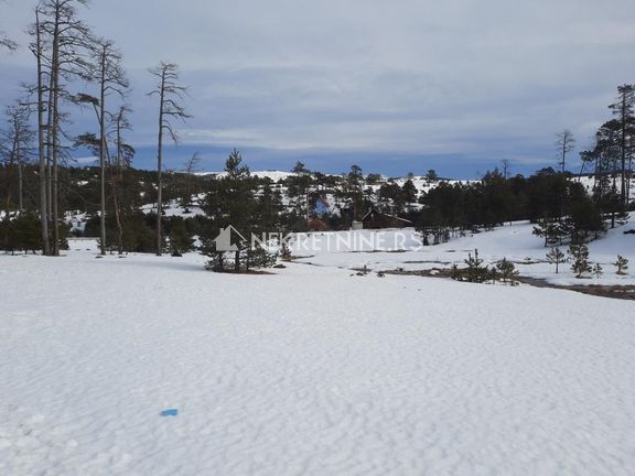 Zlatibor Zlatibor