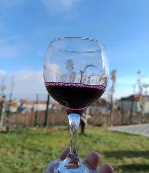 Domace vino