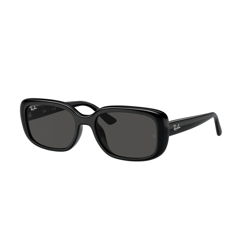 RAY BAN Sunčane naočare 0RB4421D 667787 56