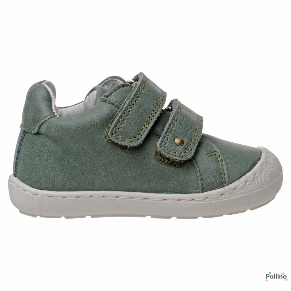 POLLINO CIPELA 4113 GREEN