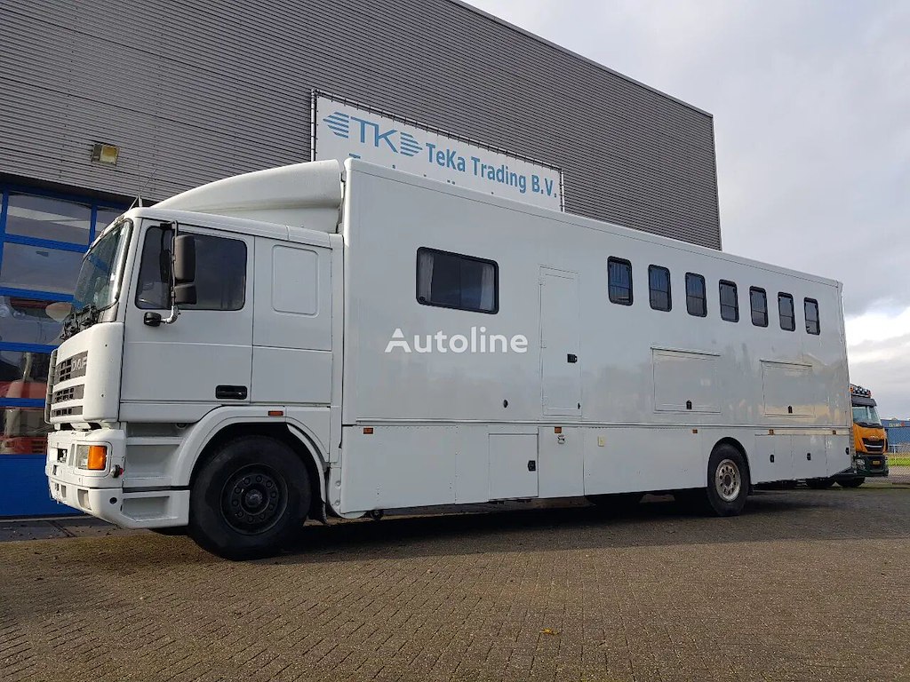 DAF 95.350 Paardenwagen met zitverblijf 7 paarden 7 horses kamion za prevoz konja