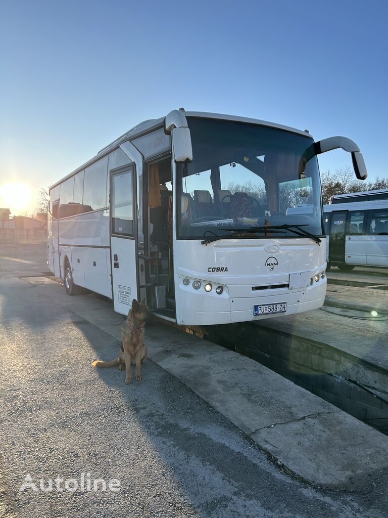 MAN Cobra GL9, Euro 5 prigradski autobus