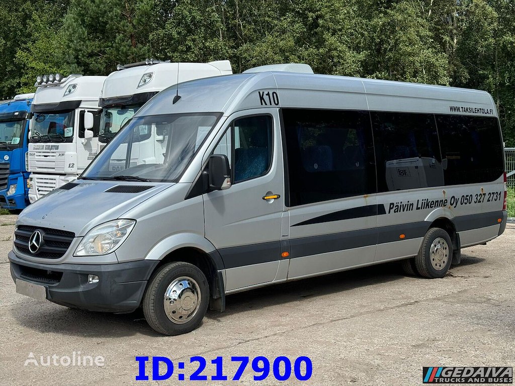 Mercedes-Benz Sprinter 516 - VIP - 17 places putnički minibus