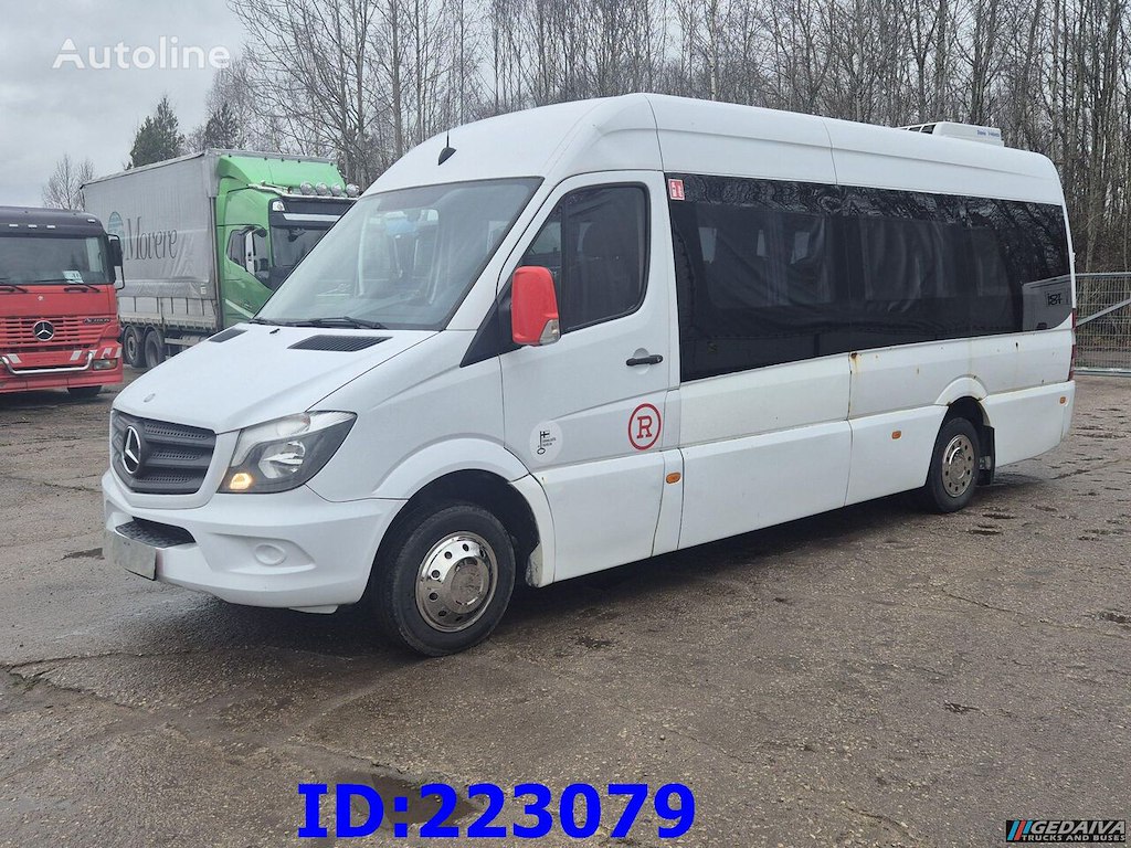 Mercedes-Benz Sprinter 516 - VIP - Euro6 - 17 places putnički minibus