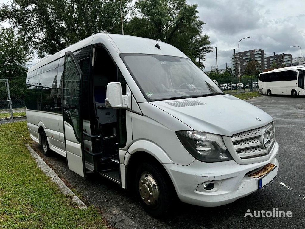 Mercedes-Benz SPRINTER 519 CDI autobus za razgledavanje grada