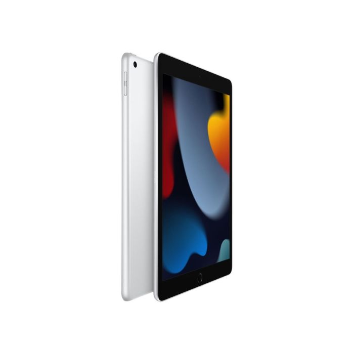 iPad 9th Gen 10.2 inch A13 WiFi 256GB Silver (fk2p3ll/a)