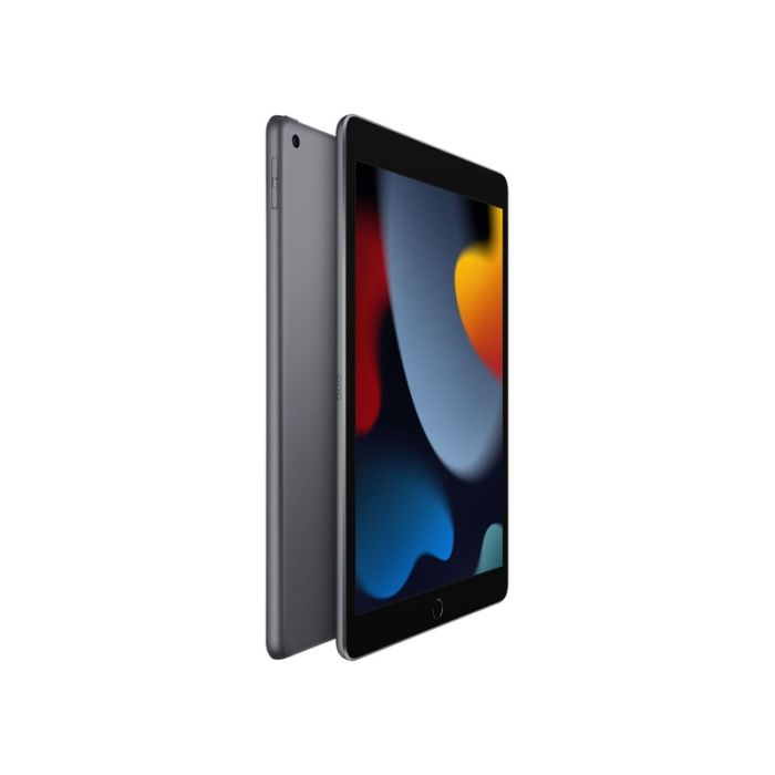 iPad 9th Gen 10.2 inch A13 WiFi 256GB Space Gray (fk2n3ll/a)