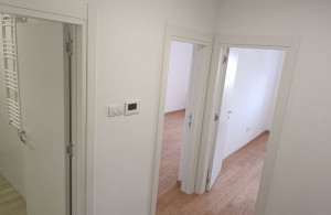 Prodajem Stan-Apartman, Nova Detelinara