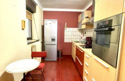 Novi Sad- Maksima Gorkog-pet friendly