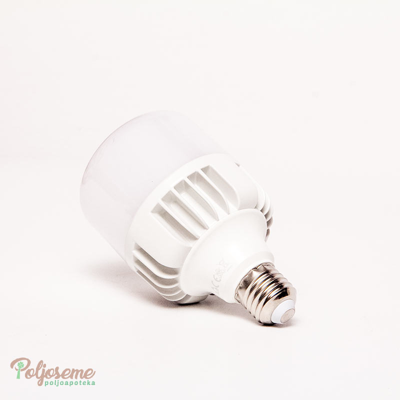 LED S22 HP 20W E27 6500