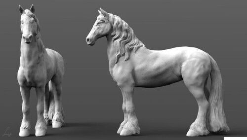 Peddinghaus-Decals 72F163 2 Heavy Horses (Friesian Horses)