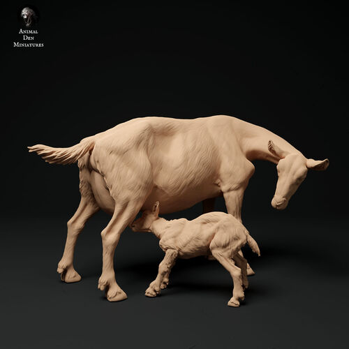 EMP3D 25130325 Kozy alpejskie - samica karmiąca i młode - zestaw