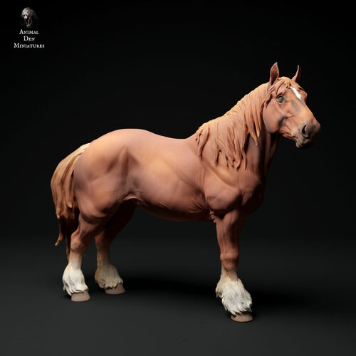 EMP3D 25130347 Suffolk Punch - klacz stojąca - 1 sztuka