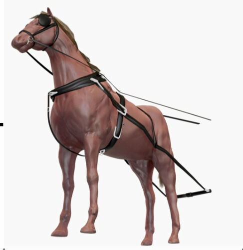 Peddinghaus-Decals 72F164 2 Horses With Harness