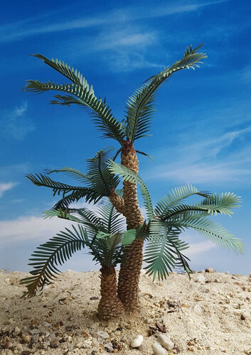 Reality in Scale PLM13 Cycad Palm